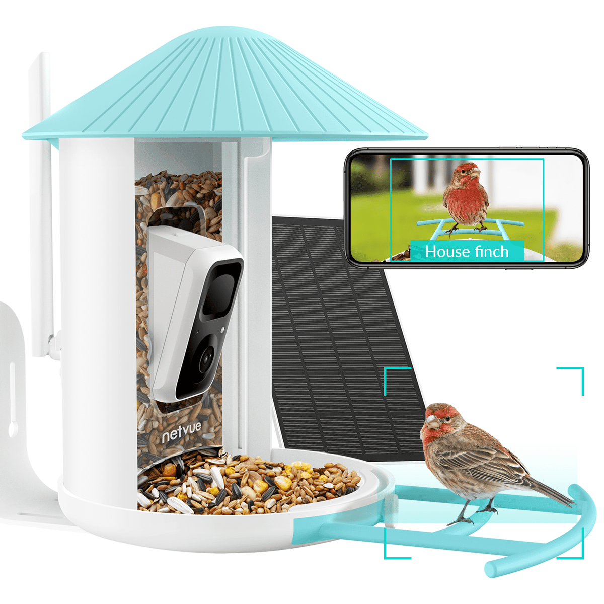 Netvue Birdfy Smart Bird Feeder with Free AI for Bird Watching – netvue