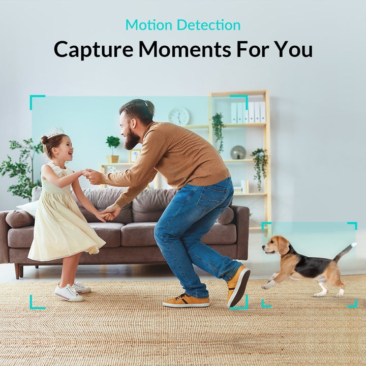 The Benefits of using Pan Tilt Zoom Camera – netvue