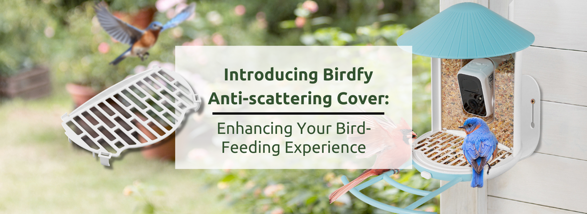 Introducing Birdfy Anti-scattering Cover: Enhancing Your Bird-Feeding ...