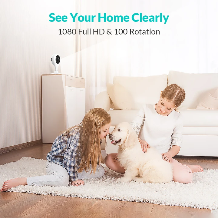 How to Choose the Best Type of Security Camera – netvue