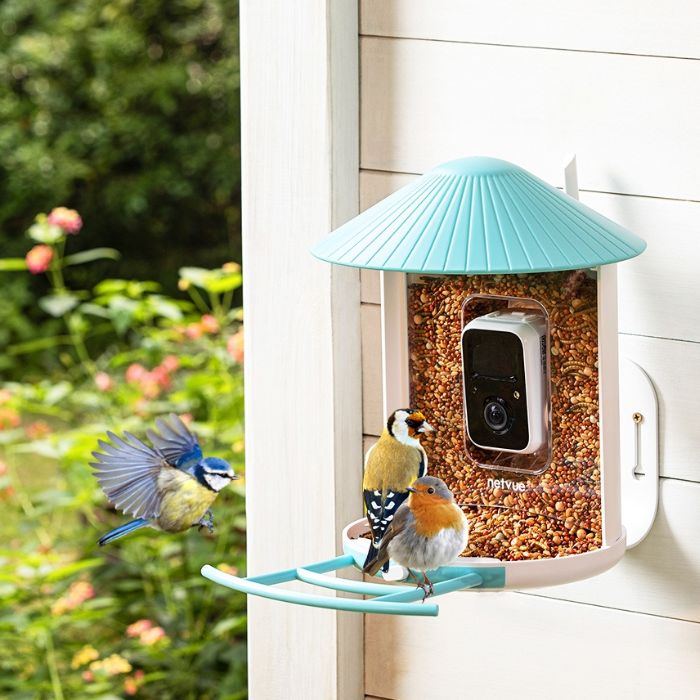 Bird Feeder Camera | Baby Monitor and Home Security Camera by Netvue ...