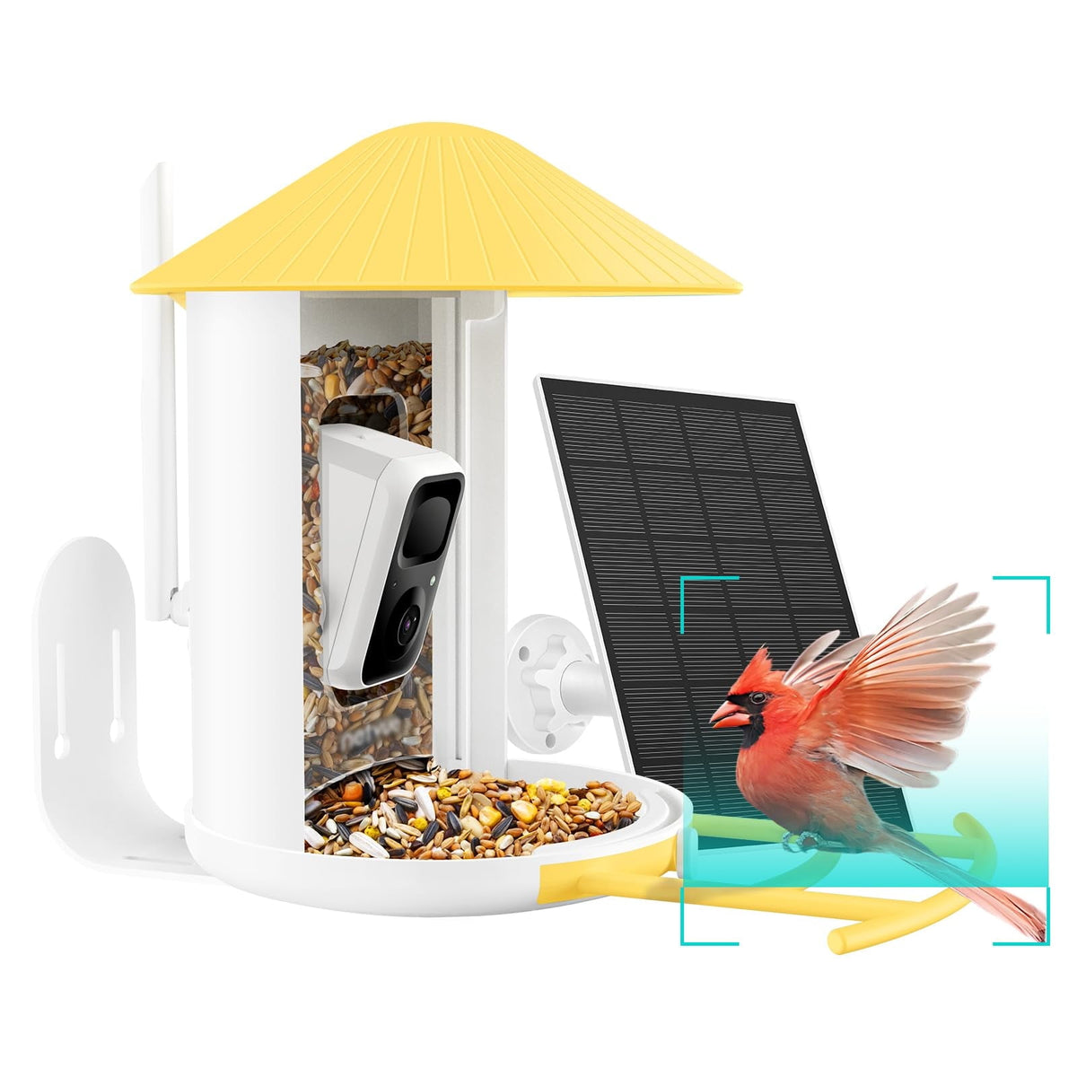 Bird Feeder with Camera(Birdfy AI+Solar) – netvue