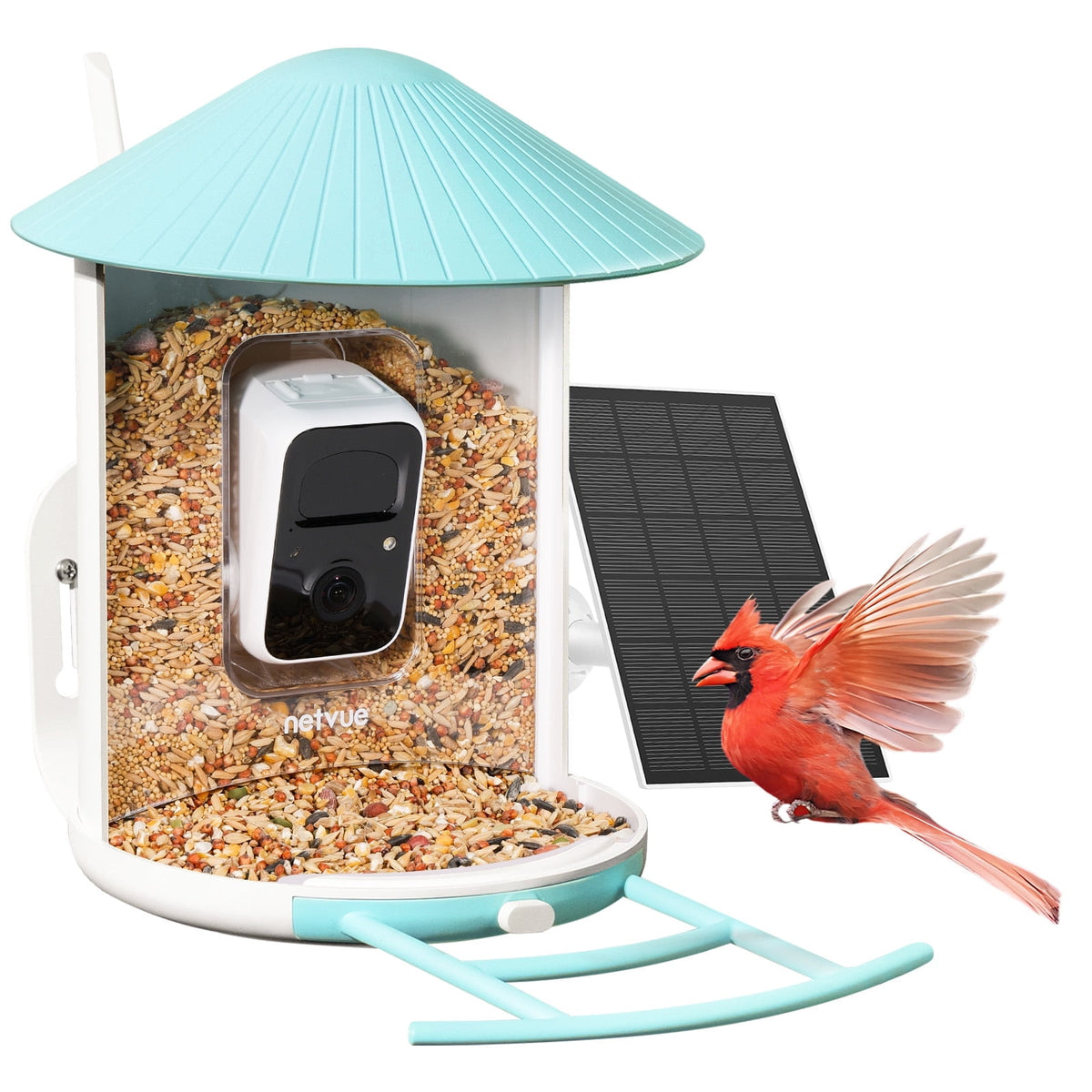 NETVUE Birdfy Smart Bird Watching Cameras Wireless Camera Solar Powere ...